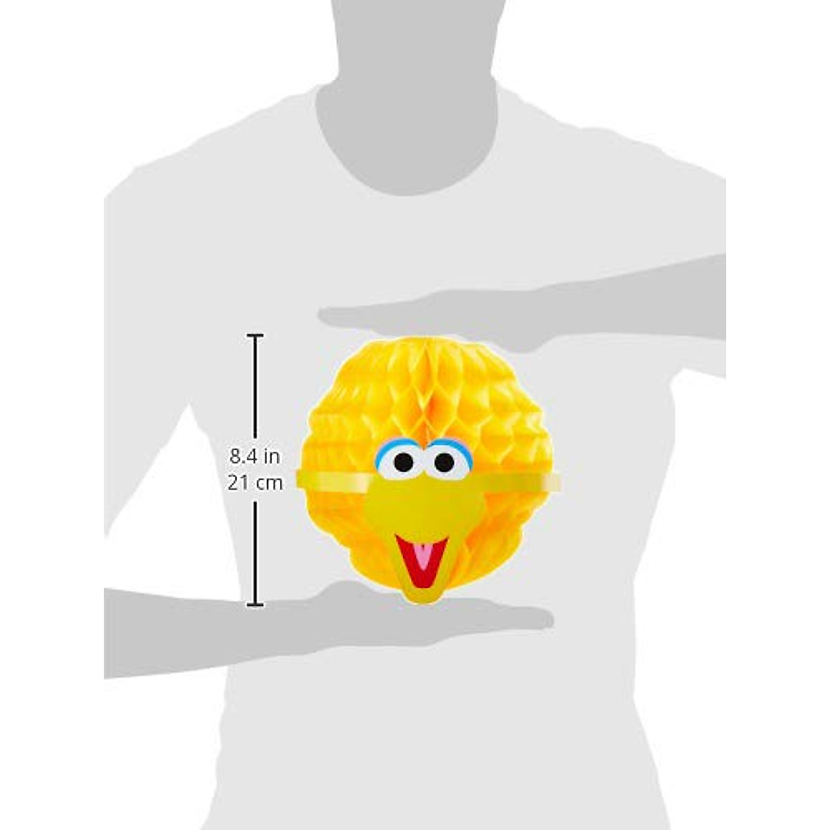 Amscan Sesame Street Honeycomb Decorations, multi color