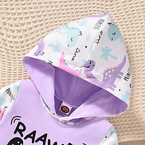 MINIFEIKO 6-12 Months Baby Girl Clothes Dinosaur Long Sleeve Hoodie Romper Bodysuit And Pants With Heaband 3Pcs Infant Girls Fall Winter Outfit Set(Purple Dino,6-12 Months)