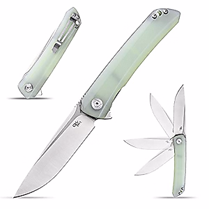 Eafegrow CH3002-G10 Folding Camping Knives 3.7 inch D2 Blade and G10 Handle Pocket Knives Outdoor Hunting Knife Tactical Folding Knives (jade)