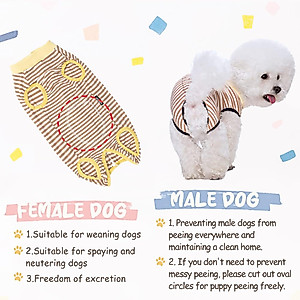 Paipeper Dog Recovery Suit After Surgery,Spay Neuter Clothes for Female Dogs,Small Medium Dog Shirt,E-Collar Cone Alternative,Prevent Licking Wound Dog Onesie,Pet Surgical Suit(Grey White Stripe-l)