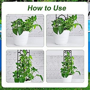 2pcs Metal Plant Trellis for Climbing Support, 19inch Indoor Houseplant Trellis Flower Potted Plants Moon Phase Small Garden Trellis with Moisture-Proof Layer for Pot Plant Vine Monstera (Black)