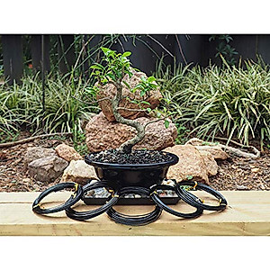 Bonsai Wire Set,Copper Bonsai Training Wire for Bonsai Tree Kit 1.0mm,1.5mm,2.0mm,2.5mm, 3.0mm (Black)