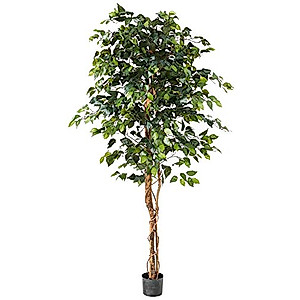 Nearly Natural 6ft. Ficus Artificial Trees, 72in, Green