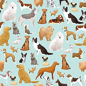 Best in The Show Dog Gift Wrap Roll - 24" x 15'