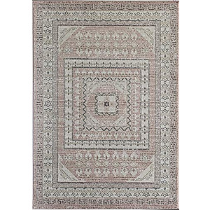 Rugs America Harper HY40A Carnation Transitional Vintage Area Rug, 5'x7'