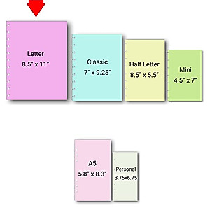 6 Clear Blank Binder Dividers for Discbound Planners Semi-Transparent fits with Letter Size Planners, Circa Letter, Arc by Staples, TUL, Letter (11-Disc Letter (8.5 x 11 in))