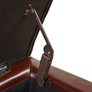 Christopher Knight Home Gavin Storage Ottoman, Foggy Brown