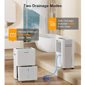 Wpsoert 4,000 Sq.Ft Dehumidifier for Basement with Drain Hose, 45 Pints Dehumidifiers for Home Large Room, Bedroom Intelligent Humidity Control with Auto Shut Off, Auto Defrost, Dry Clothes, 24H Timer
