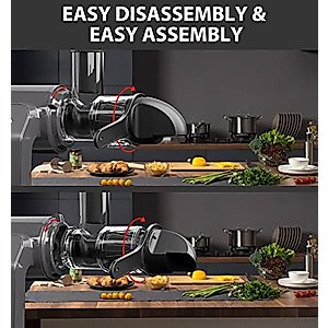 Juicer Machines, Fezen Slow Masticating Juicer Extractor, Cold Press Juicer with Two Speed Modes, Quiet Motor/Reverse Function, Higher Juice Yield Slow Juicer for Vegetables & Fruits, Easy to Clean