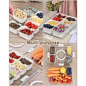 HAKPNEW Snackle Box Container with Lid & Handle, Divided Clear Snack Box Serving Tray, Refrigerator Organizers and Storage for Fruit, Candy, Charcuterie, Veggie, Perfect for Party, Travel, & Picnic