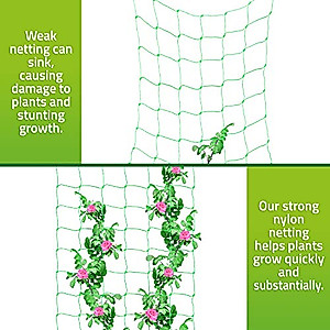 De-Bird: Trellis Netting for Climbing Garden Plants, Grow Garden Flowers, Green Pea and Vine Plants