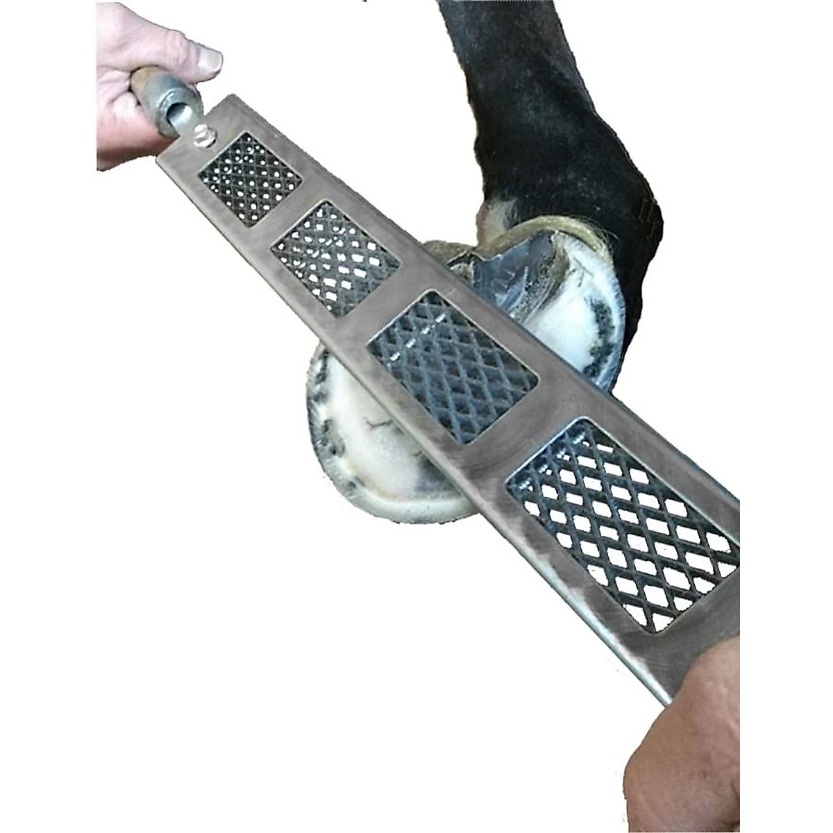 Cody James Dymondback Rasp - BEST File for Trimming A Horse hoof - Choose Fine, Medium or Aggressive (MEDIUM)