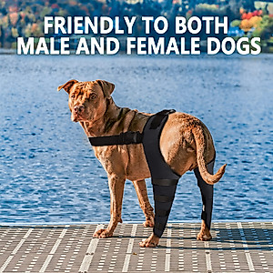 MewMewLand Dog Knee Braces for Pain CCL, ACL, Arthritis, Extra Support, Dog ACL Brace Hind Legs, Black X-Small