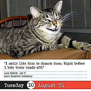 Bad Cat Page-A-Day Calendar 2021