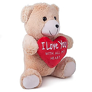 GSUIVER 10" Valentine's Day Valentines Gift for Children Kids, Girlfriend, Boyfriend, Plush Stuffed Animal (I Love You with All My Heart)
