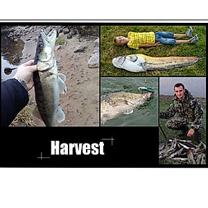 LOVEPET 11cm/10g Simulation Bait,Long Tongue Fake Bait, Lures Minor Bionic Bait,Fishing Tackle, Fish Hook, 10 Pcs