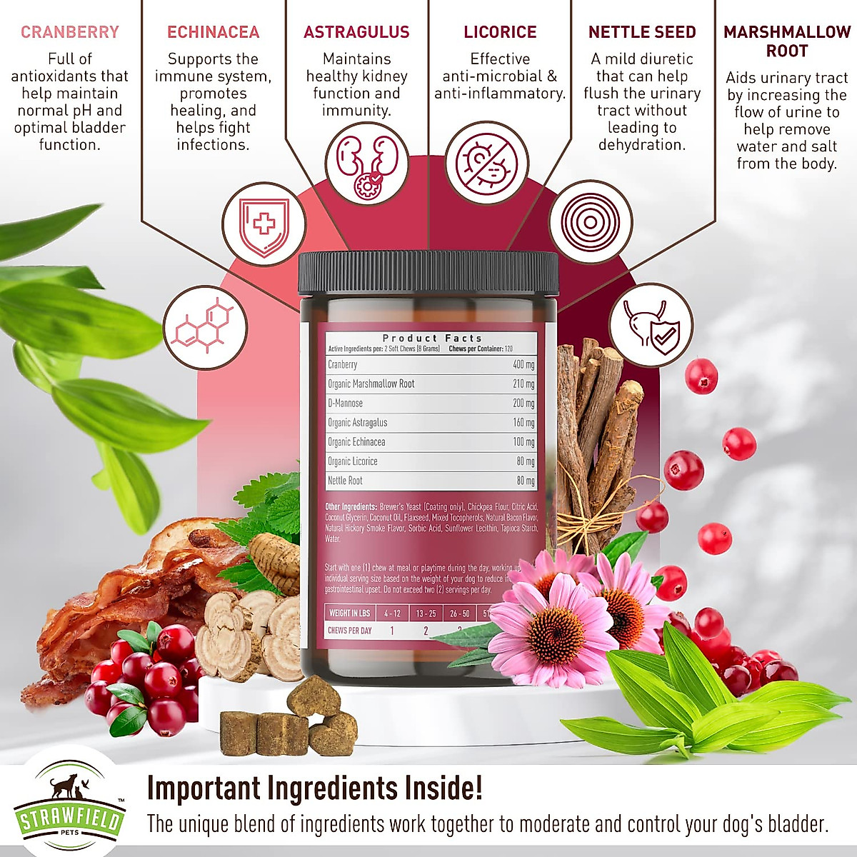 Strawfield Pets' Cranberry UTI + Bladder Soft Chews Cranberry Supplement for Dogs Urinary Tract - Bacon Flavor 120 Chews