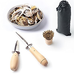 ROEDEER Oyster/Clam Knife Shucker Set,Oyster Shucking Knifes(3.7"+2.4") and Cut Resistant Level 5 Gloves,Perfect Seafood Opener Tools Kit(2knifes+1Glove+1Brush)