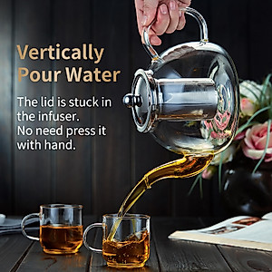 DOPUDO 40OZ (1200ML) Glass Teapot Tea Pot With Infuser, Glass Kettle For Stove Top, Tea Glass Pot, Glass Tea Cup With Infuser And Lid For Loose Leaf Tea Steeper, Microwave Dishwasher Safe