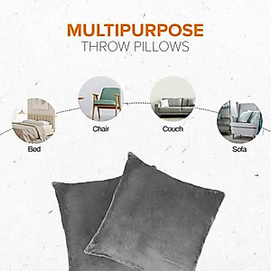 Cheer Collection Microsherpa Throw Pillow Set of 2 for Couch, Beds, Bedroom and Living Room - Ultra Soft and Fluffy, Elegant Home Decor, Velvet Stylish Accent Pillows - 18" x 18", Gray