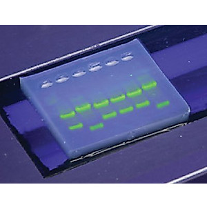 SYBR Safe DNA Stain, 10,000 X
