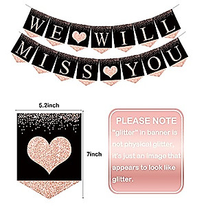 Rose Gold Farewell Party Decorations Supplies Kit, Will Miss You Banner, We Will Miss You Decorations, Going Away Party Hanging Swirls Decorations