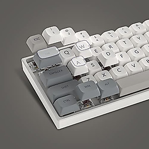 dagaladoo 133 Keys Retor Grey Keycaps, XDA Profile PBT Keyboard Keycaps Full Set, XVX Dye Sublimation Keycaps for 60% 65% 100% Cherry Gateron MX Switches Mechanical Keyboard