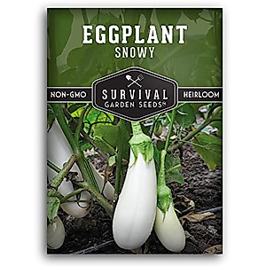 Survival Garden Seeds - Snowy Eggplant Seed for Planting - Packet with Instructions to Plant and Grow White Eggplant (Aubergine) in Your Home Vegetable Garden - Non-GMO Heirloom Variety