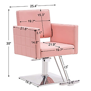 BarberPub Salon Chair for Hair Stylist,Hydraulic Barber Styling Chair, Beauty Spa Equipment 8821 (Pink)