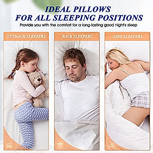 MZOIMZO Bed Pillows for Sleeping- Standard Size, Set of 2, Cooling Hotel Quality with Premium Soft Down Alternative Fill for Back, Stomach or Side Sleepers, 43x66CM