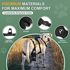 Virbraroo 8X Support Dog Knee Brace with Metal Strips for Joint Pain Relief, Dog Leg Brace for Torn Acl Hind Leg, Rear Leg Brace with Adjustable Traction Belt for Cruciate Ligament Injury (M)