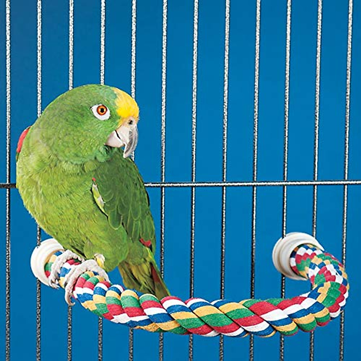 ORIJEN Beef Recipe Stew with Shredded Beef and Eggs Wet Dog Food, Grain Free Dog Food, WholePrey Ingredients, 12.8oz (Case of 12)