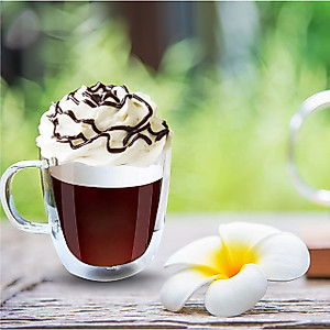 [12 Oz, 2Pack] Large Clear Glass Coffee Mugs Double Wall Insulated Glass Tea Cups with Handle Perfect Latte Cappuccino Heat Resistant , Dishwasher and Microwave Safe, 2 Count (Pack of 1)