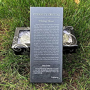 Rosleanny Paw Print Sun Catcher Crystals Prisms Hanging Garden Decor Pet Memorial Gifts Dog Remembrance Gift Pet Loss Sympathy Gifts Rainbow Maker Suncatcher for Window Friend Birthday Gifts