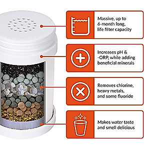 Invigorated Water pH PURIFY Alkaline Faucet Filter + PH006 Refill Bundle