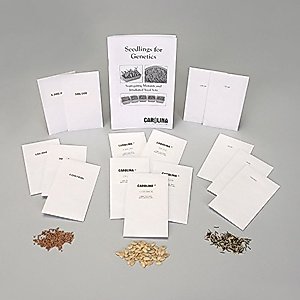 Radish, Irradiated Seed Set, 5 Packs of 50