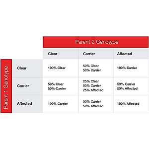 AffinityDNA Dog Multidrug Resistance 1 (MDR1) DNA Test Kit | Home Sample Collection Kit for 1 Canine | Puppy MDR1 Testing Kits | Results in 7 Working Days | A Complete Kit with No Extra Fees