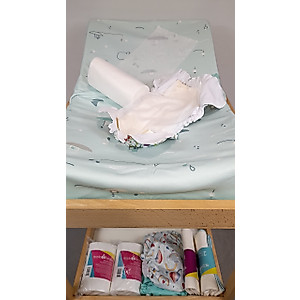 AppleCheeks Disposable, Flushable Diaper Liners, 100 Count, Unisex