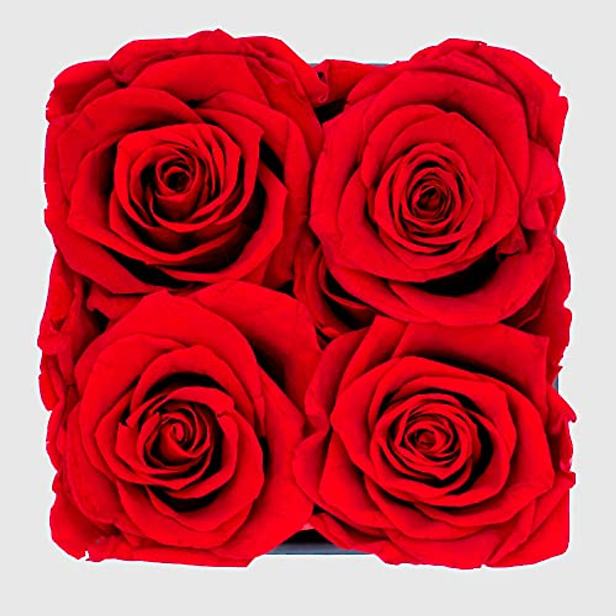 Chloe's Graceful Fleurs | Real Roses that Lasts for Years | Fresh Flowers for Delivery Prime Birthday | Birthday Gifts for Women | Preserved Roses in a Box | Forever Rose Box | Mothers Day Gifts (Red)
