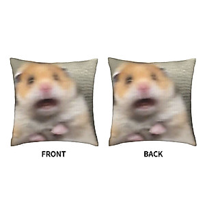 Scared Hamster Cute Throw Pillow Covers Novelty Square Pillow case Home Decorative Bedroom Couch Sofa Cushion case 18x18 in