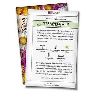 Sow Right Seeds Tall Mixed Strawflower Seeds - Full Instructions for Planting - Beautiful to Plant in Your Flower Garden - Non-GMO Heirloom Seeds - Cut Flower Favorite - Wonderful Gardening Gift