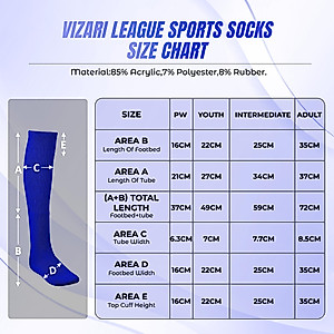 Vizari League Soccer Sock - Royal, Youth Size