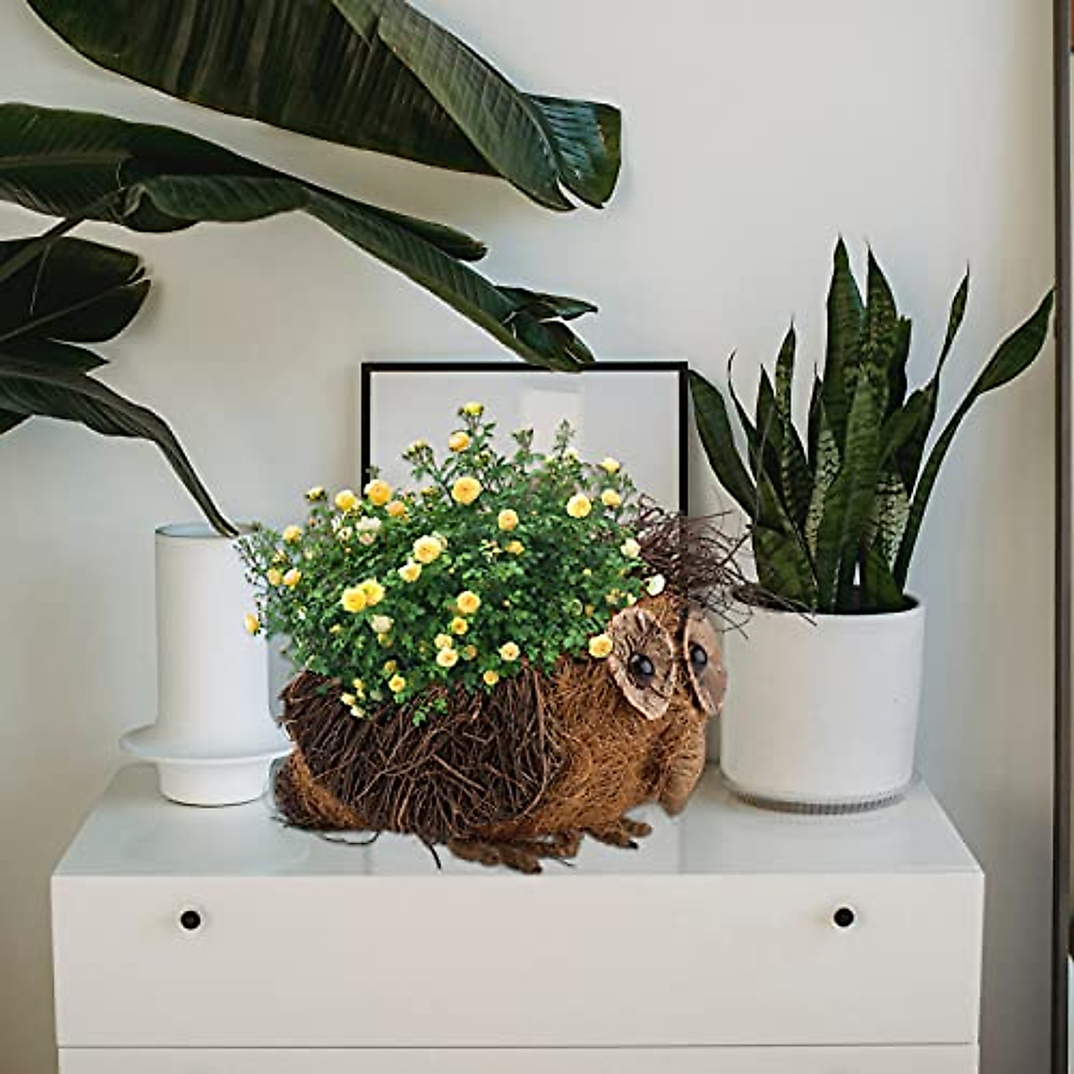 Garneck 1pc Owl Flower Basket Owl Bonsai Pot Rattan Basket Rustic Pots Micro Landscape Pots Wedding Table Centerpiece Animal Flower Outdoor Wall Natural Coco Replacement Liner Coir Plant