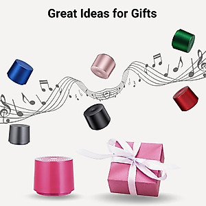 HOAIYO TWS Portable Wireless Speaker with Built in Mic and Play 2 Speakers Together (Gold)