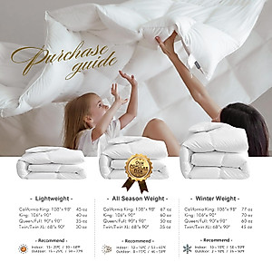 Royoliving Premium Lightweight Feathers Down Comforter Queen Size Summer Cooling Down Blanket Full Size White Duvet Insert, 100% Cotton Cover with Coner Tabs (90x90, 35 oz)