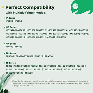 COLORETTO Remanufactured Printer Ink Cartridge Replacement for Canon Pg-245Xl Cl-246Xl PG-243 CL-244 to use with Canon PIXMA MX492 MX490 IP2820 MG2420 mg2522 TS3122 (1 Black+1 Color) Combo Pack