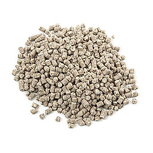 Manna Pro Cool Omega 40+ | Equine Dry Fat and Protein Supplement | 8 Pounds