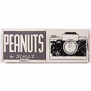Only What's Necessary: Charles M. Schulz and the Art of Peanuts