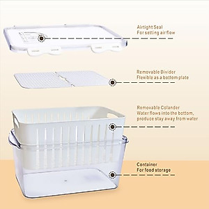 Rhewatin 3pc Fruit Storage Containers for Fridge with Time Keeper, Partitioned Vegetable Storage Containers for Refrigerator with Removable Colander and Divider, Airtight Lettuce Keeper, White