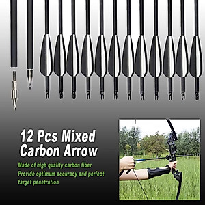 Archery Bows for Adults, Takedown Aluminum Alloy Riser Bow and Arrow Set for Adults Beginners, 30 40 Lbs Right Hand Archery Set with 12 Arrows Recurve Kit
